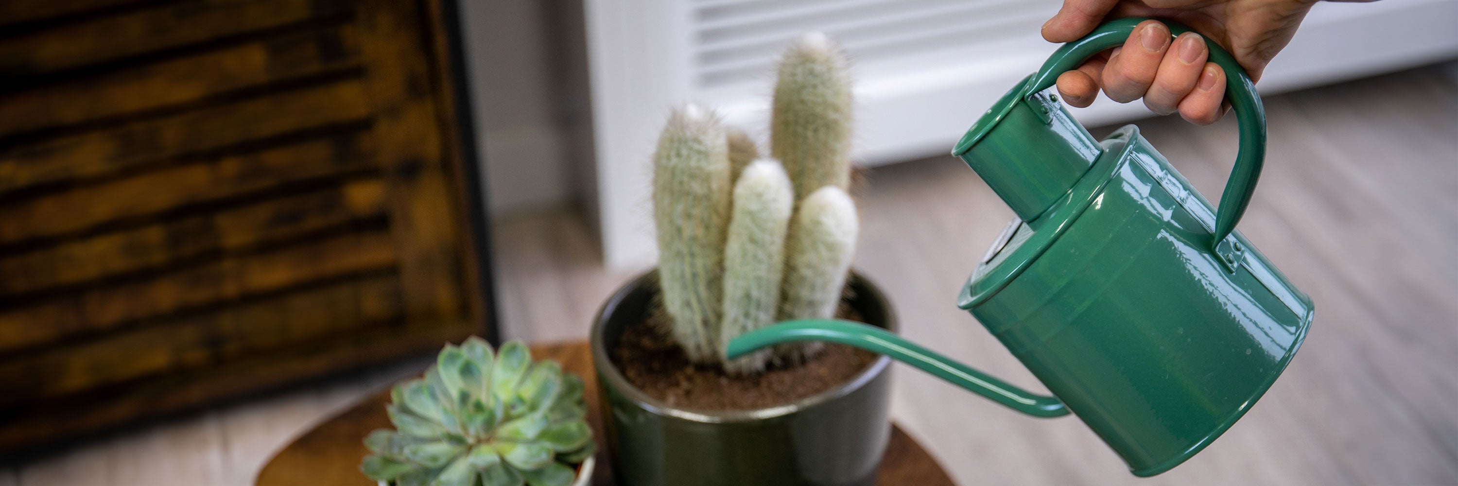 Indoor Watering Cans | Buy Indoor Watering Cans Online | Kent & Stowe