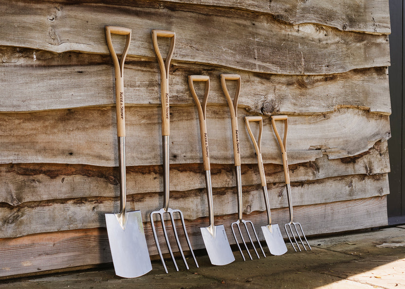 Extraordinary Advice - Gardening Tips & Inspiration – Kent & Stowe