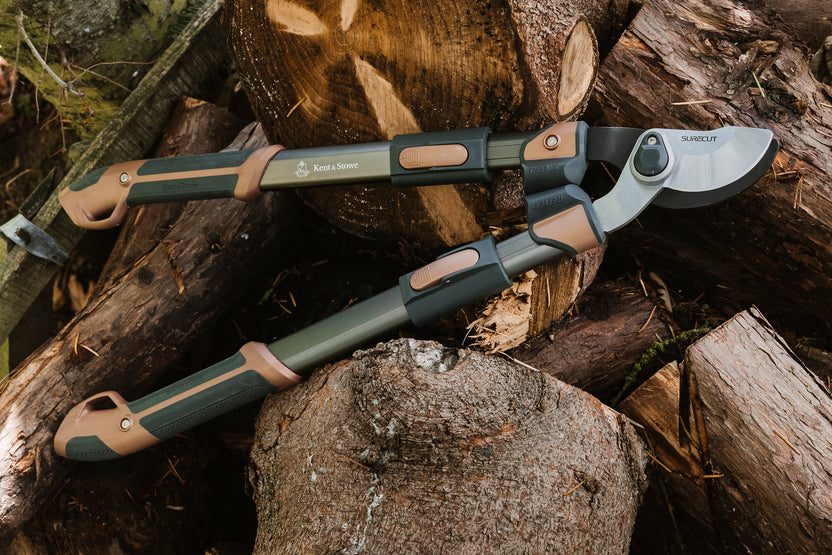 How to Choose the Right Loppers - Gardening Advice – Kent & Stowe