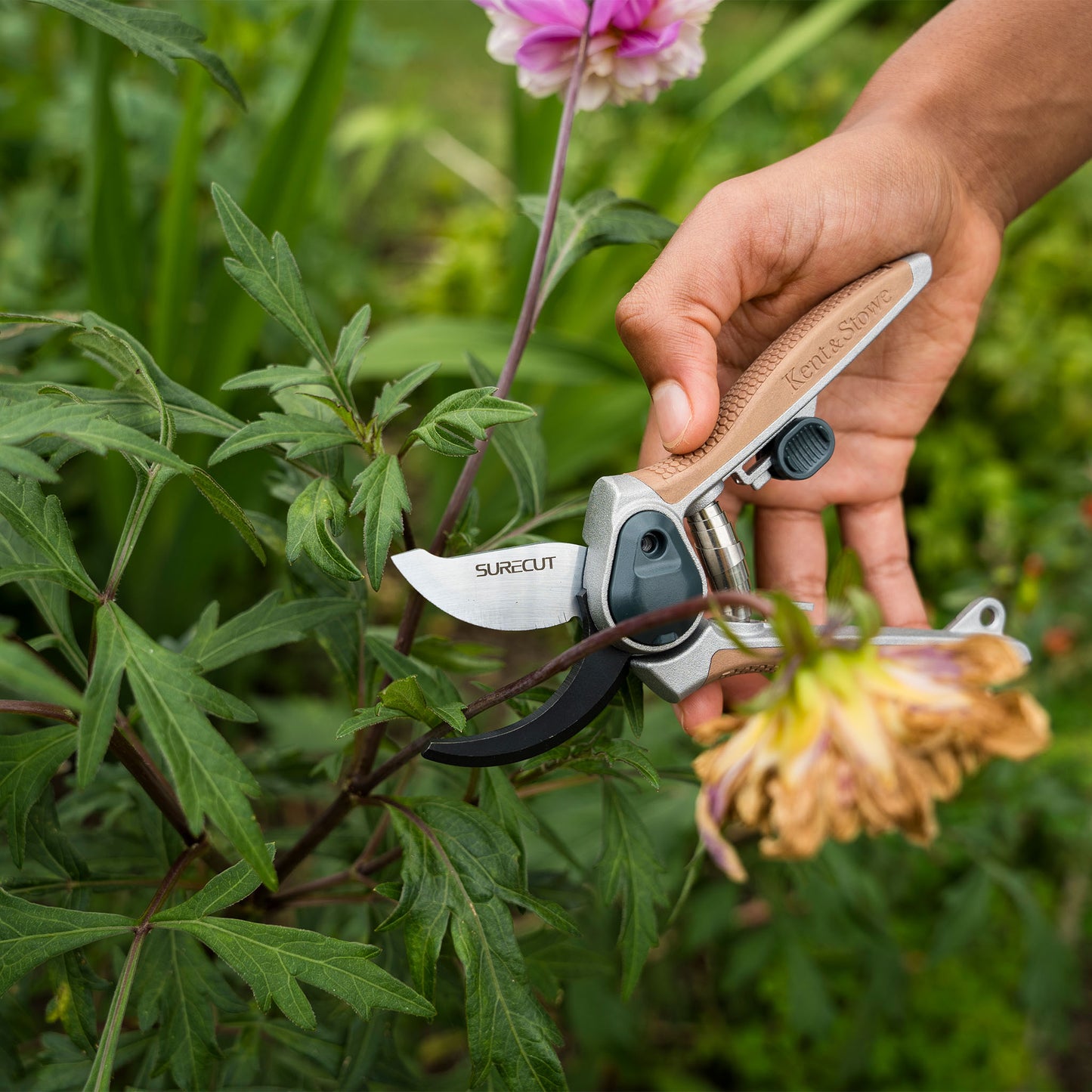 Kent & Stowe Garden Life All Purpose Mini Secateurs – Kent & Stowe UK