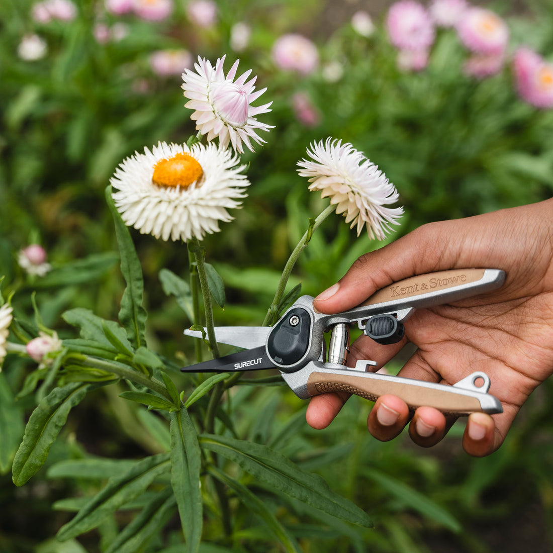 Kent & Stowe Garden Life Flower Snips - Lightweight Tools