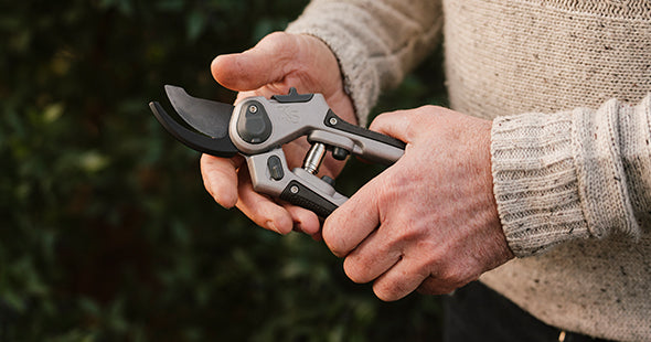 How to Choose the Best Secateurs - Gardening Advice – Kent & Stowe