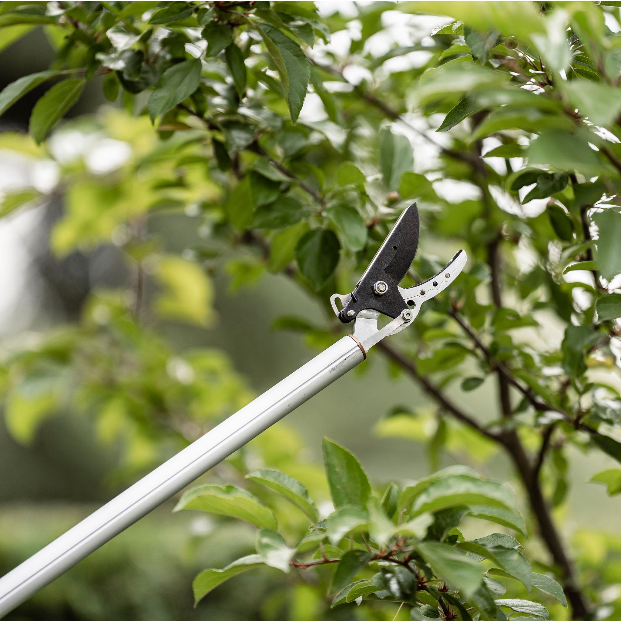 Kent & Stowe SureCut Long Reach All Purpose Pruner - Cutting