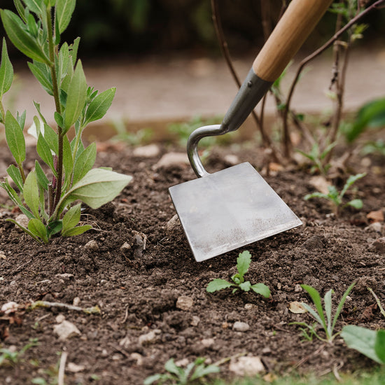 Kent & Stowe Long Handled Draw Hoe - Weeding Tools