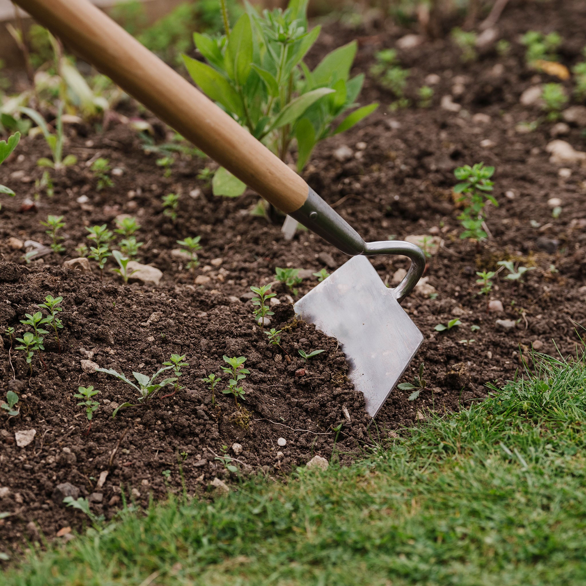 Weeding Garden Tools | Buy Garden Weeding Tools Online | Kent & Stowe