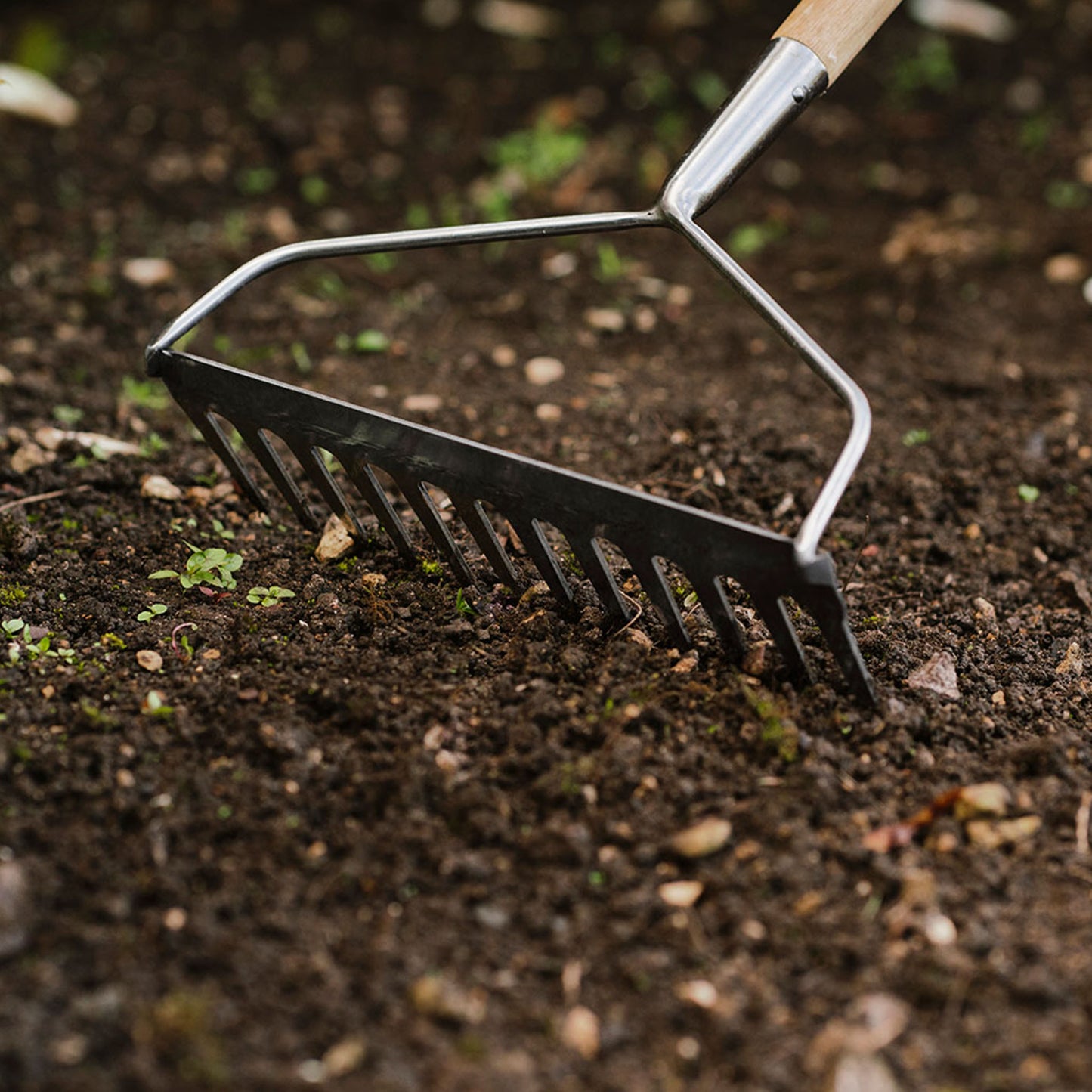 Kent & Stowe Stainless Steel Soil Rake - Cultivating Tools – Kent ...