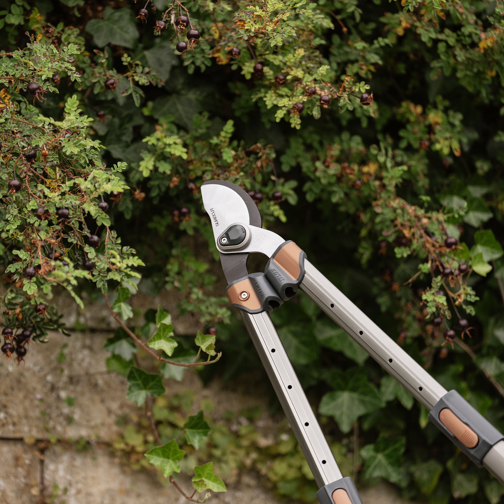 Kent & Stowe SureCut All Purpose Extra Power Loppers - Cutting