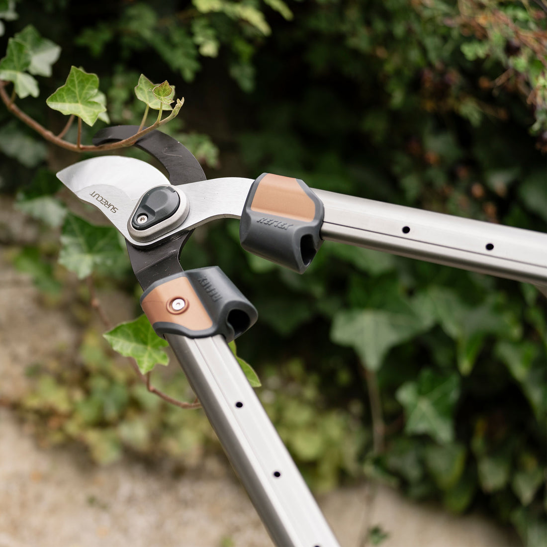 Kent & Stowe SureCut All Purpose Extra Power Loppers - Cutting