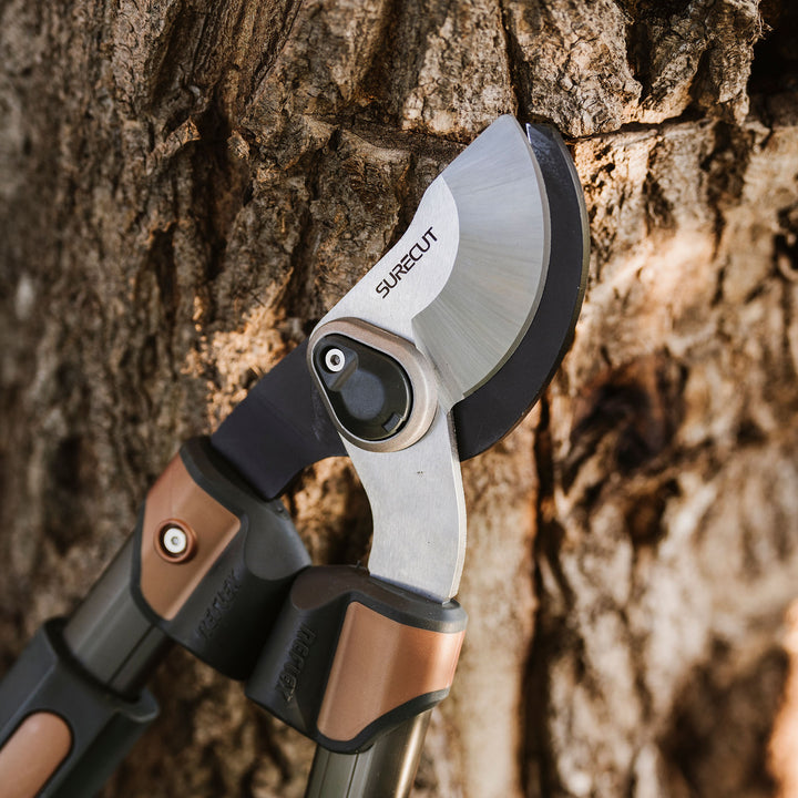 Garden Loppers Tools | Buy Garden Loppers Online | Kent & Stowe