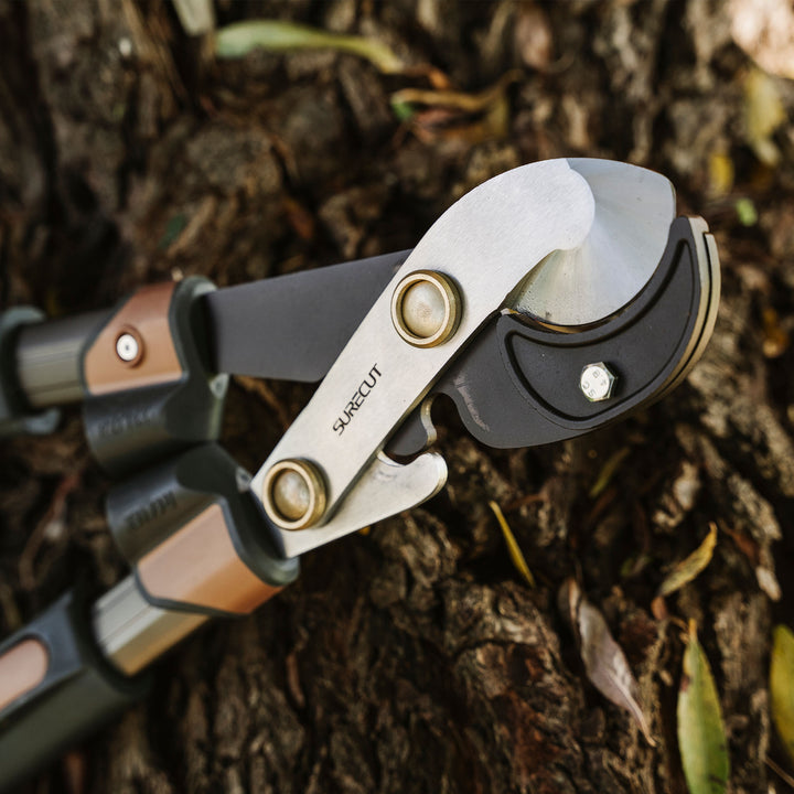 Garden Loppers Tools | Buy Garden Loppers Online | Kent & Stowe