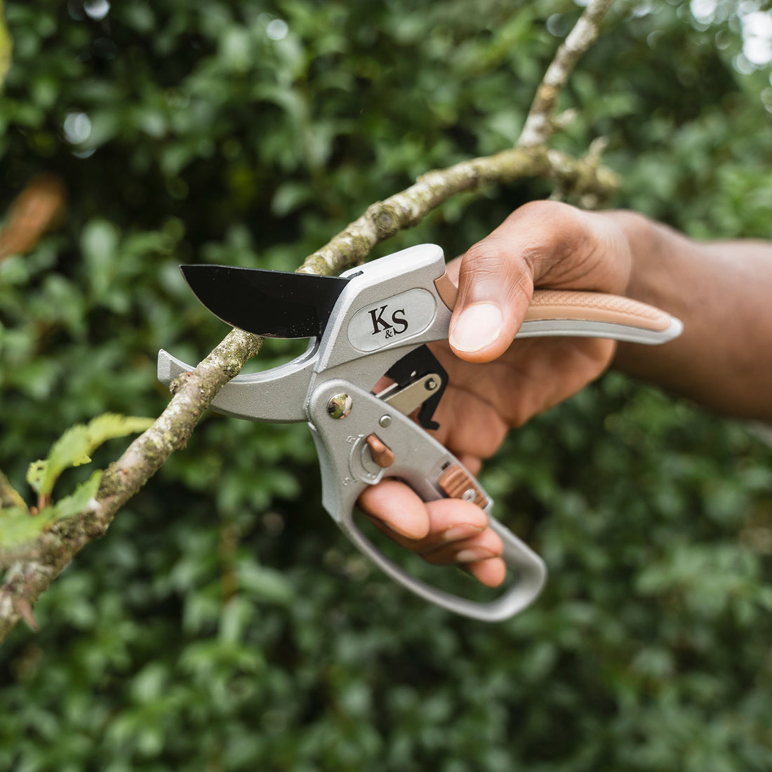 Kent & Stowe SureCut Hard Wood Ratchet Secateurs - Cutting