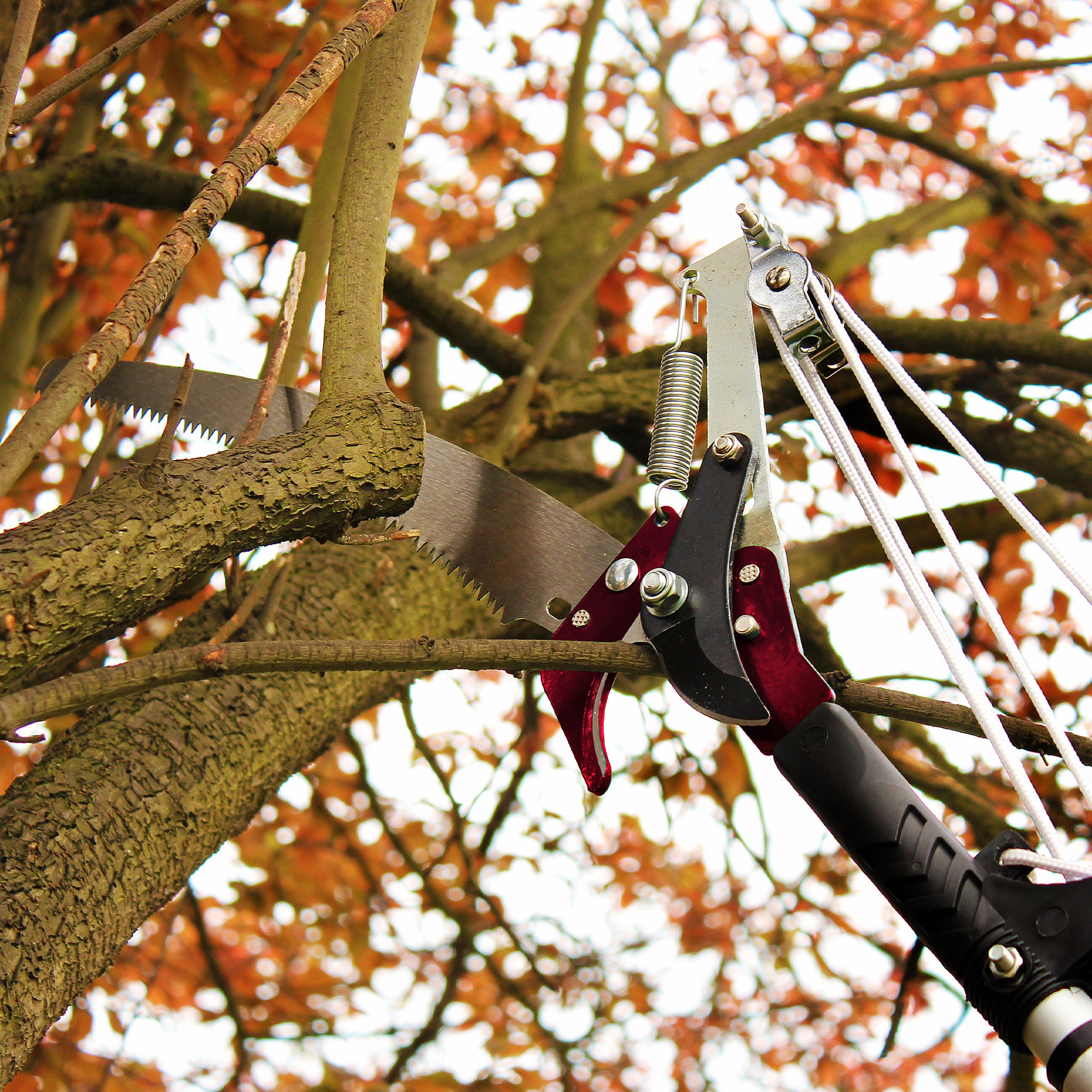 Kent Stowe Telescopic Tree Lopper 3m Cutting Tools Kent Stowe UK