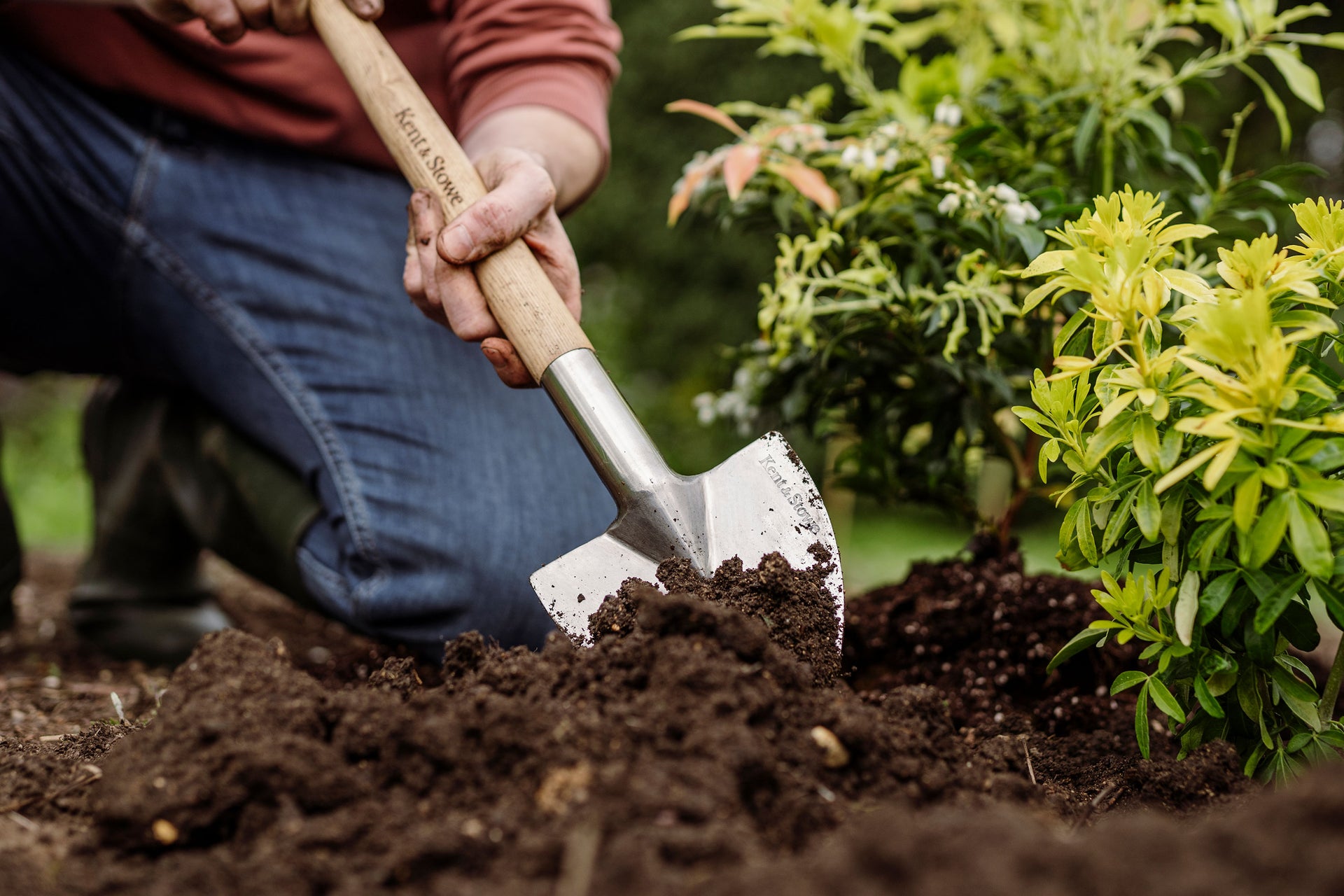 Extraordinary Advice - Gardening Tips & Inspiration – Kent & Stowe