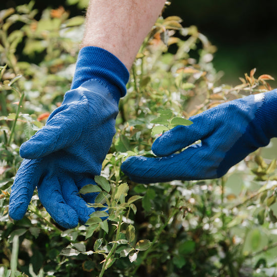 Kent & Stowe Navy Ultimate All Round Gloves Large - Gardening Gloves